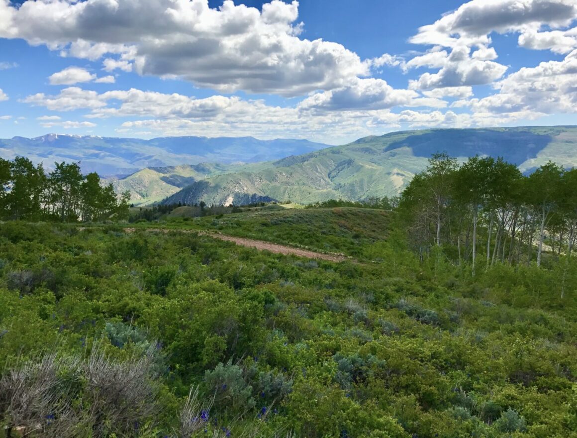 Home - The Utah Investigative Journalism Project